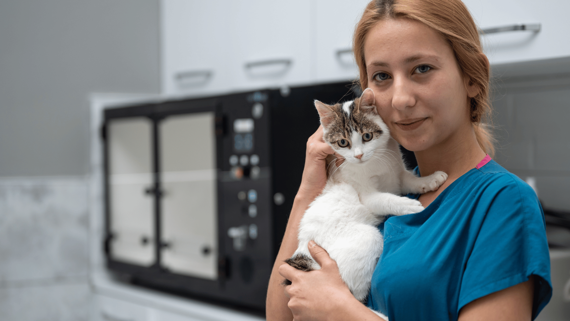 Miami, FL 33175 Veterinary Services | Alvarez Pet Clinic